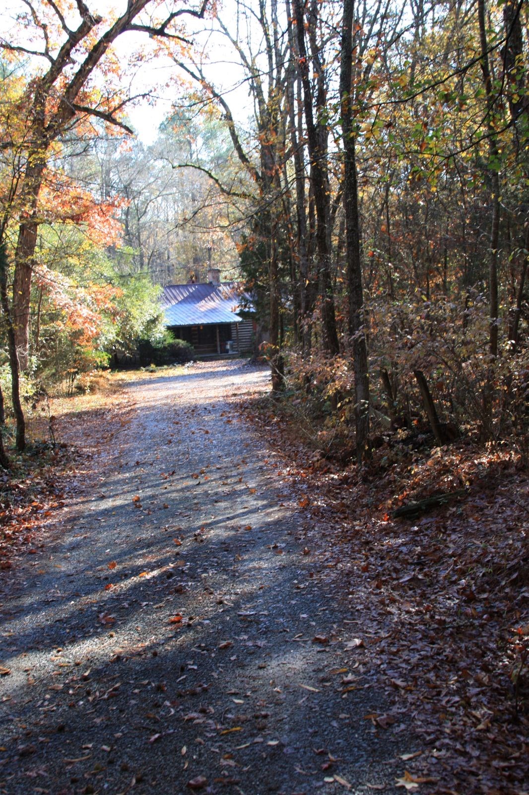 Locations Hub - Leigh Farms Park