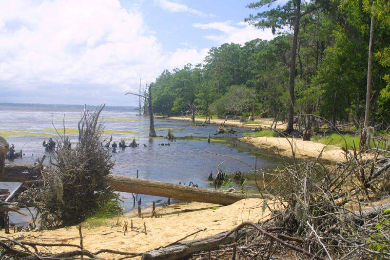 Locations Hub - Goose Creek State Park