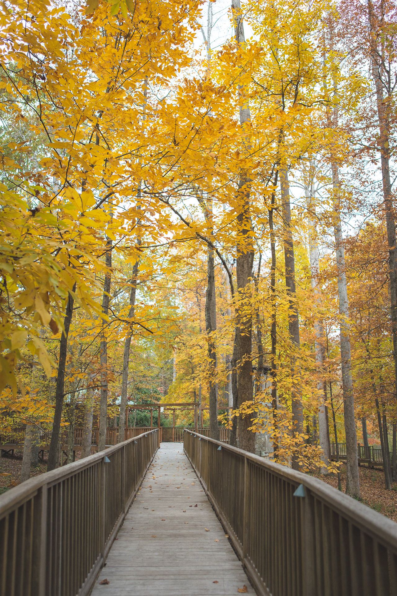 Locations Hub - The Barn at Valhalla
