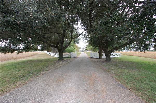 Locations Hub - Hayes Plantation