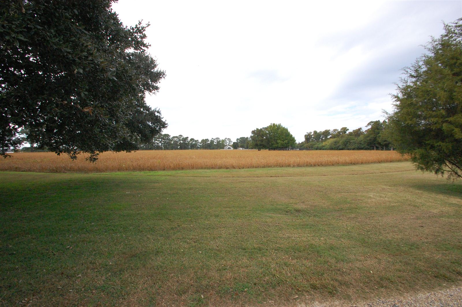 Locations Hub - Hayes Plantation