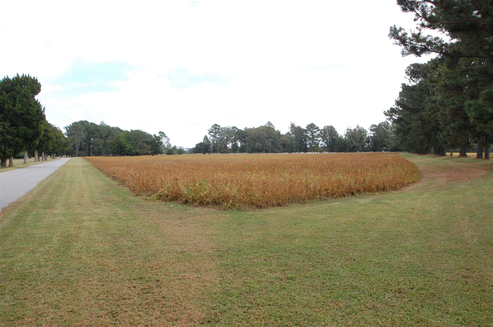 Locations Hub - Hayes Plantation