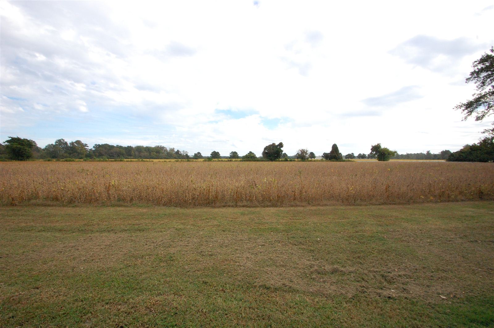 Locations Hub - Hayes Plantation