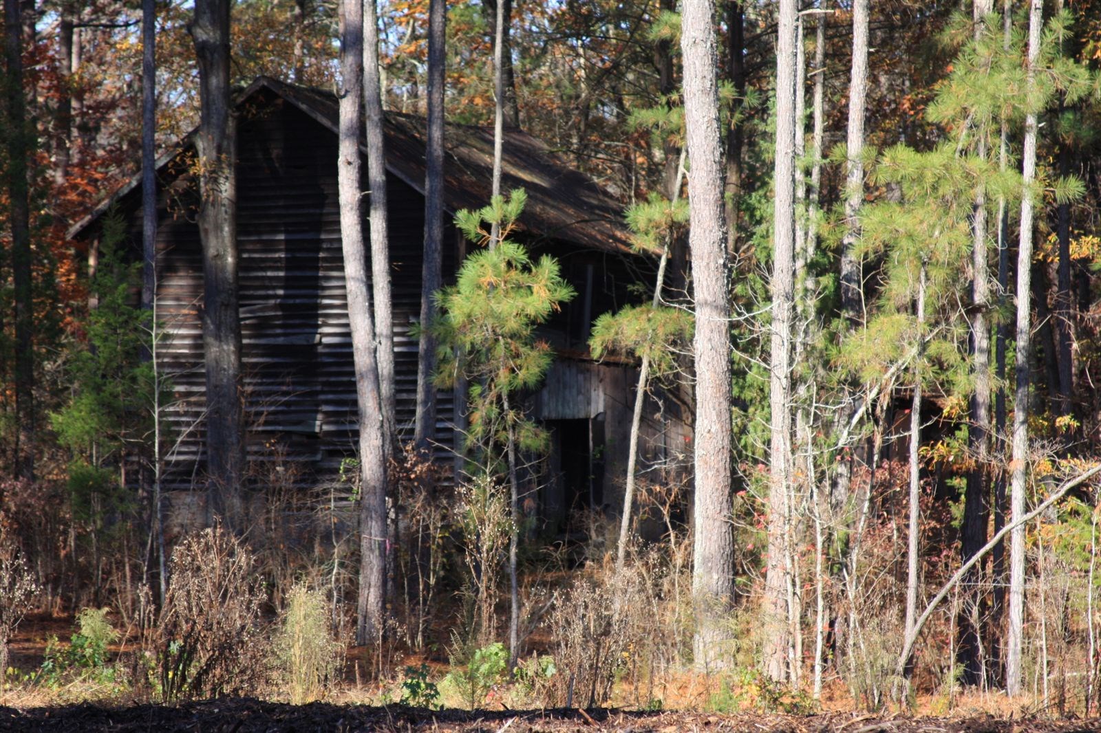 Locations Hub - Leigh Farms Park