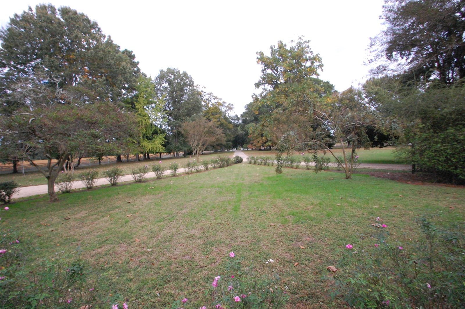 Locations Hub - Hayes Plantation