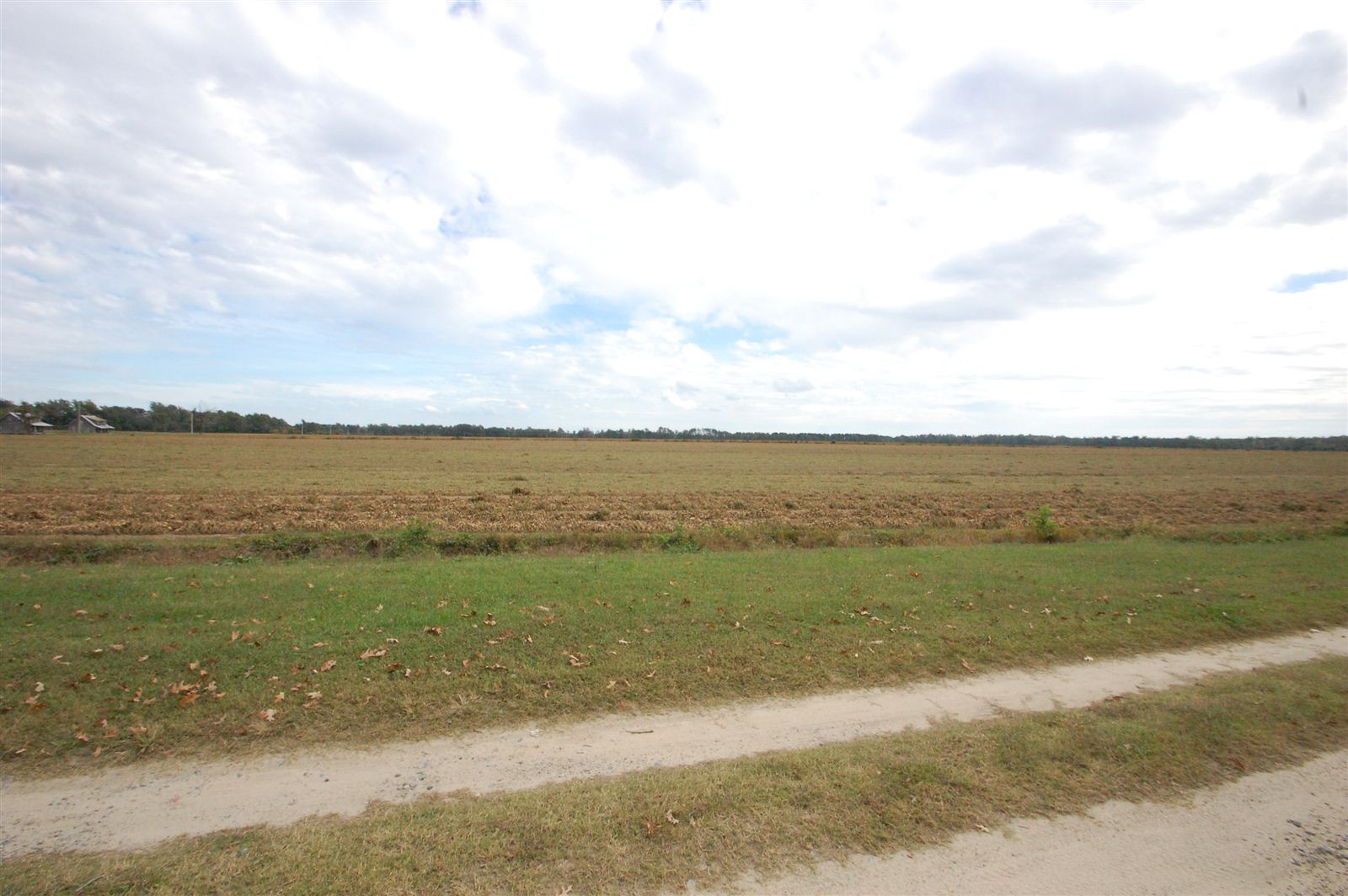 Locations Hub - Hayes Plantation