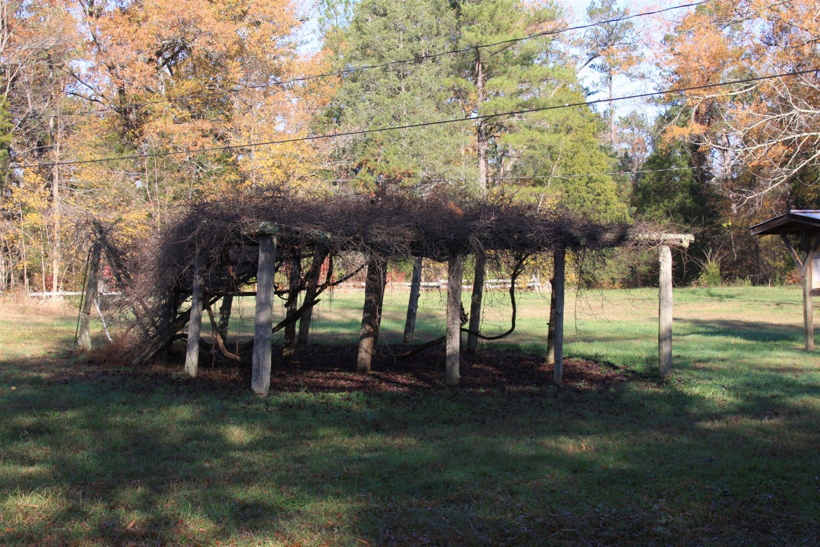 Locations Hub - Leigh Farms Park
